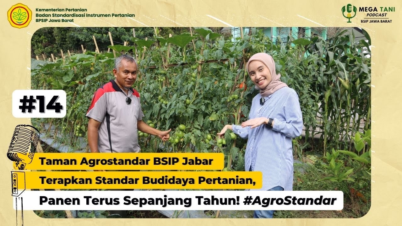 Taman Agrostandar BSIP Jawa Barat Terapkan Standar Pertanian, Panen ...