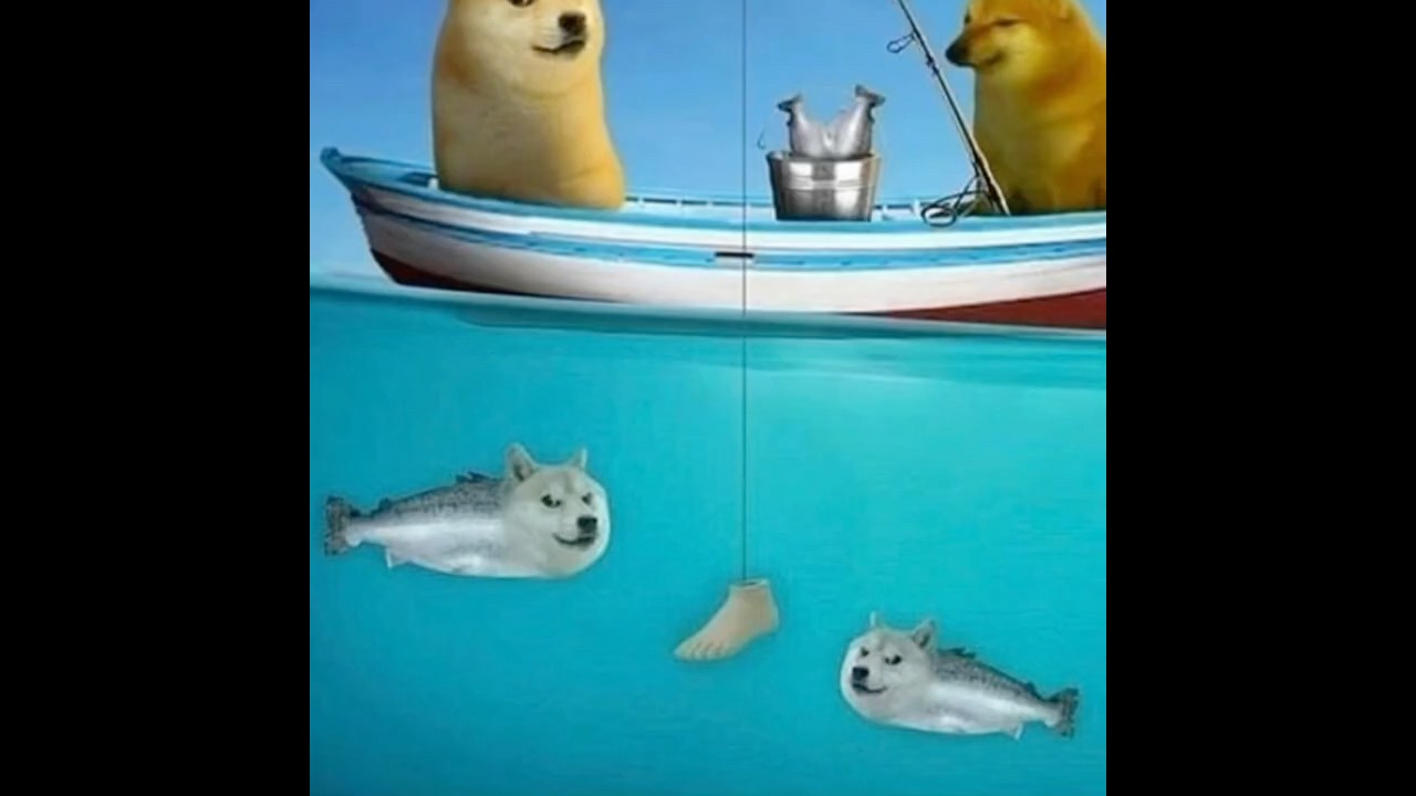 Doge and Cheems Go Fishing - YouTube
