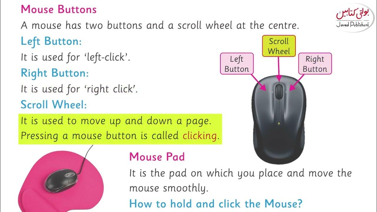 Chapter 3 Mouse Handling Computer 1 | Computer mouse lesson for grade 1 ...