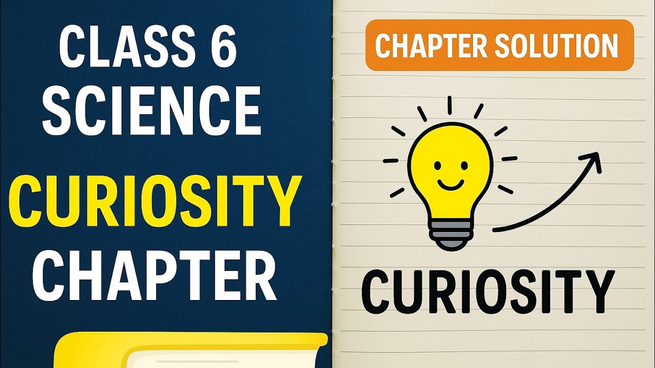 Class 6 Science Curiosity Complete Solution #science #solution #class6 ...