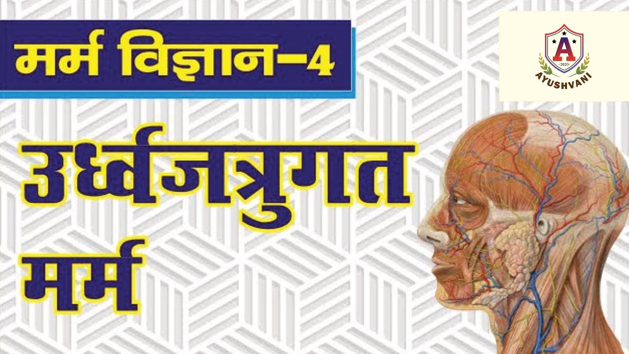 Marma of Head and Neck | उर्ध्वजत्रुगत मर्म | शिर के मर्म | मर्म ...