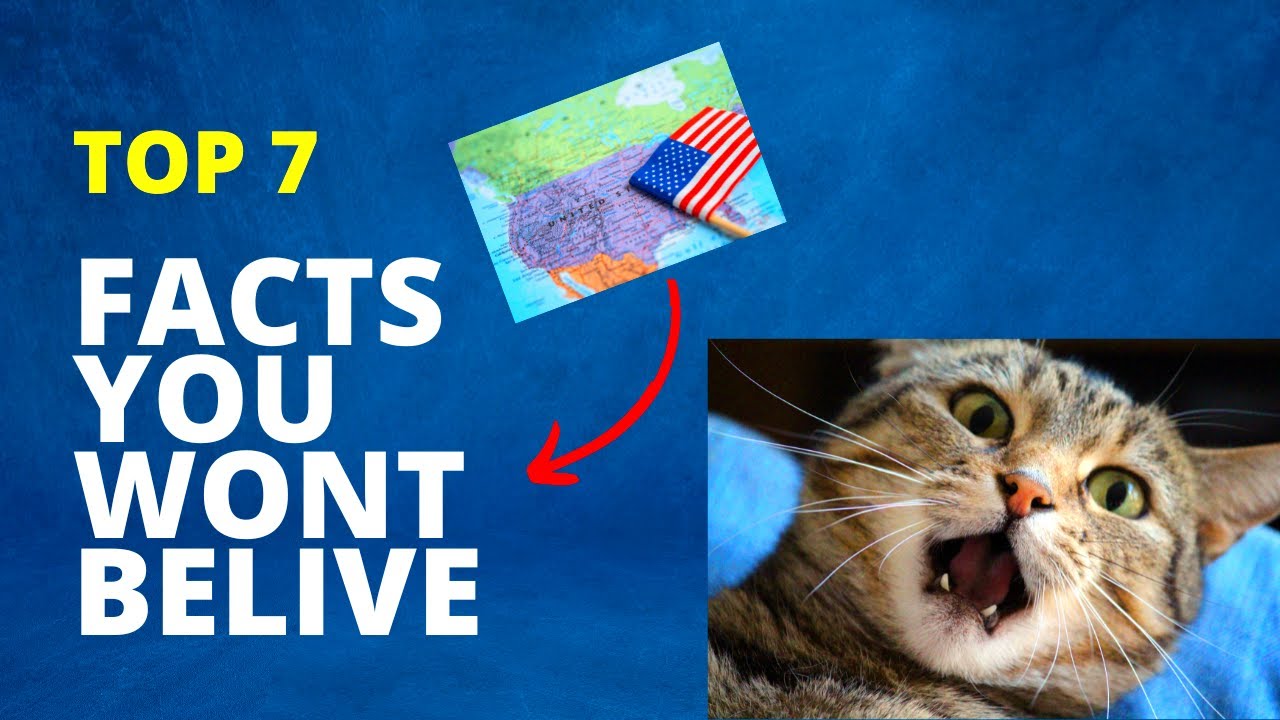 Top 7 Unbelievably Weird Facts About America That Will Blow Your Mind ...