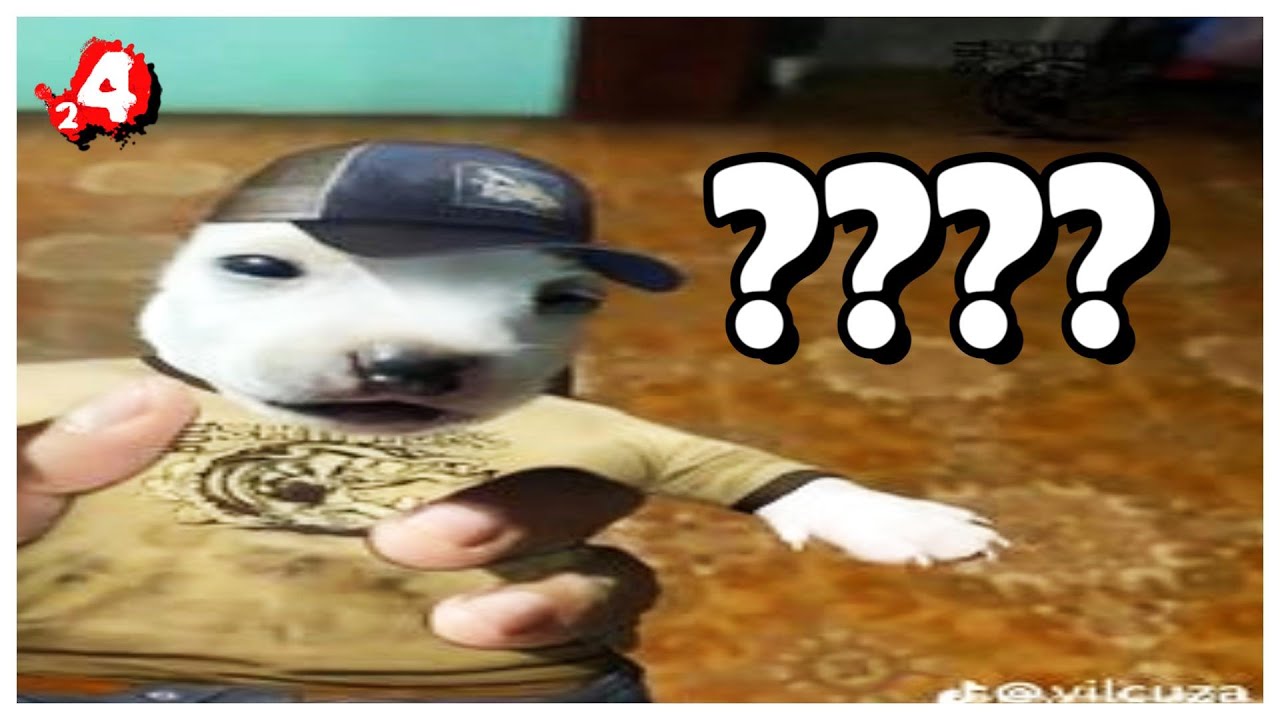 APRENDIENDO A PERDERLE MIEDO A LOS ÑANKS 🤑 (Con Subs) - YouTube