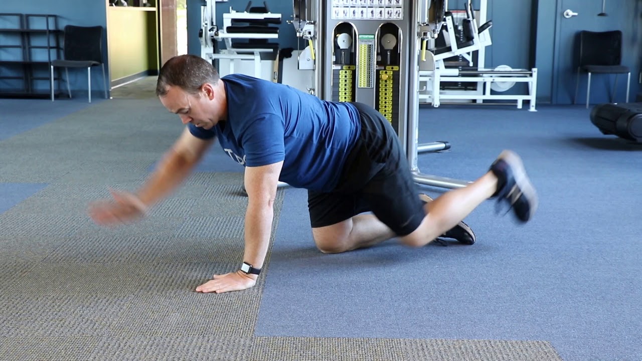 Bird dog from quadruped position - YouTube