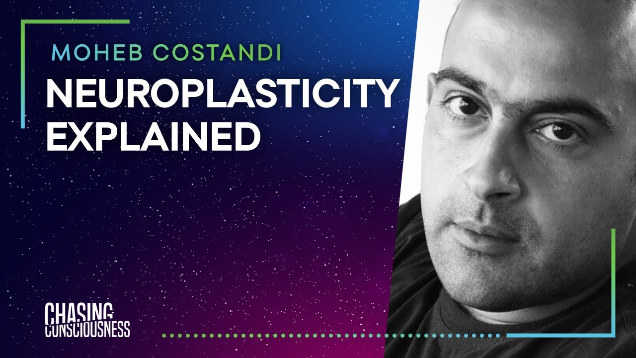 NEUROPLASTICITY EXPLAINED - Moheb Costandi #7 - YouTube