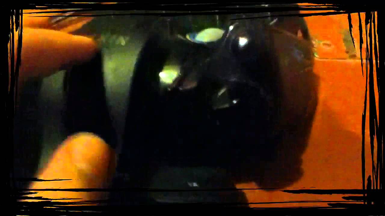 How to /review n52te gaming controller - YouTube