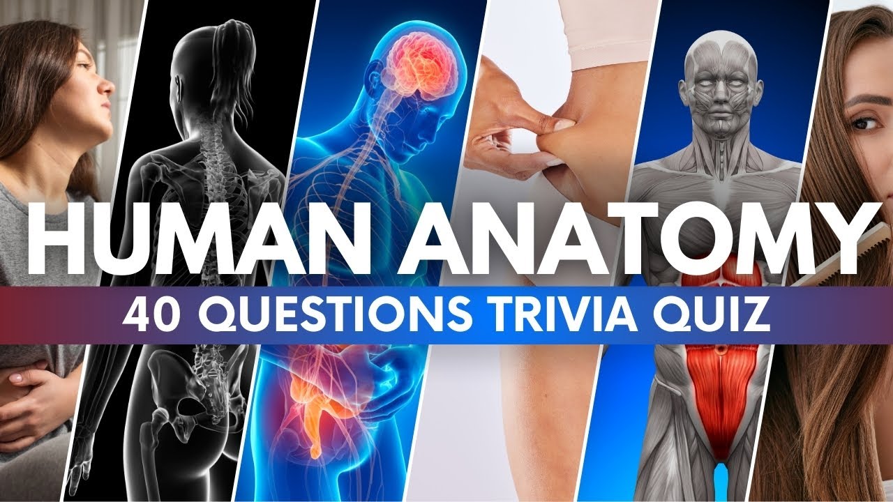 How Well Do You Know the Human Anatomy? #challenge - YouTube