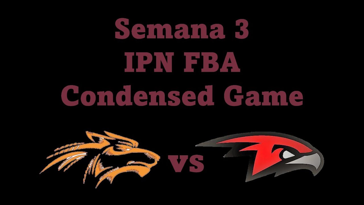 Semana 3 IPN Football Otoño 2024 - Coyotes vs Halcones - YouTube