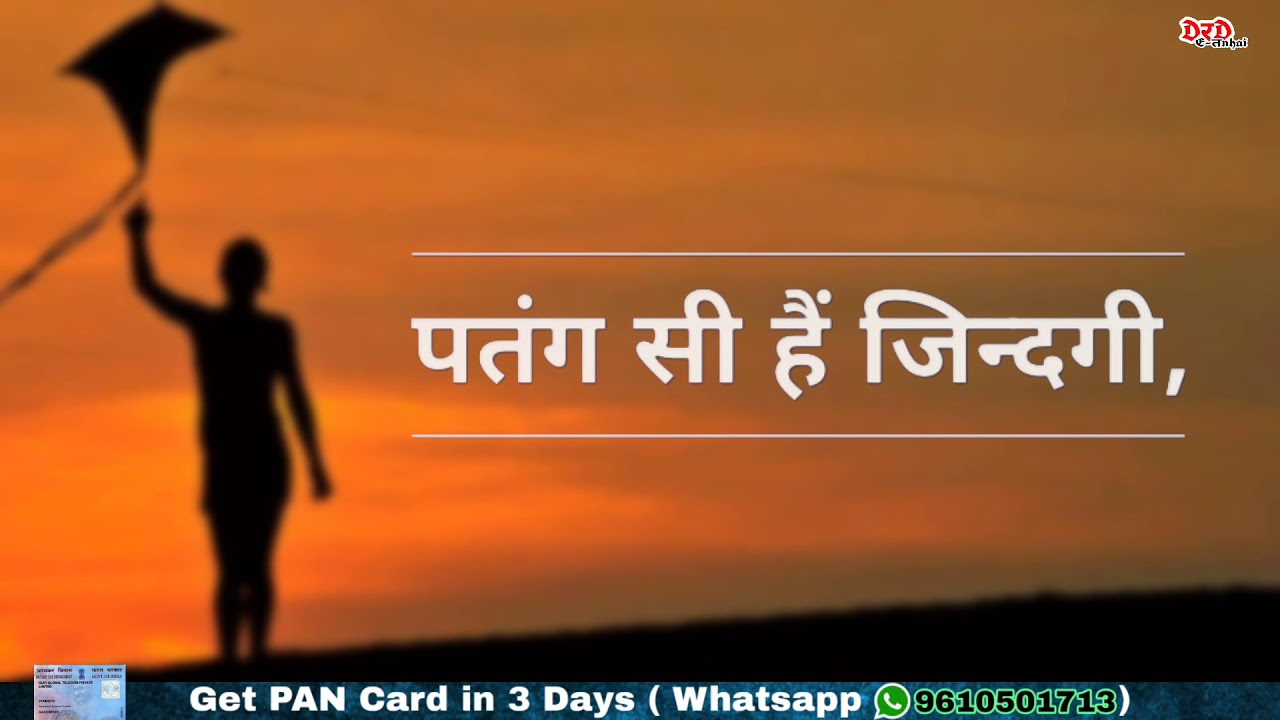 पतंग हिंदी शायरी || Patang shayari status video - YouTube