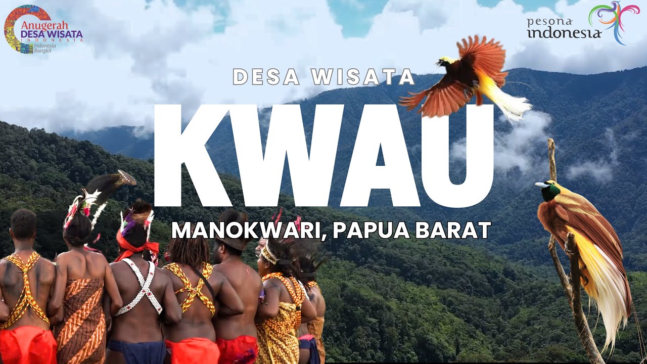 Burung Cendrawasih Dan Spesies Burung Lainnya Di Desa Kwau Manokwari ...