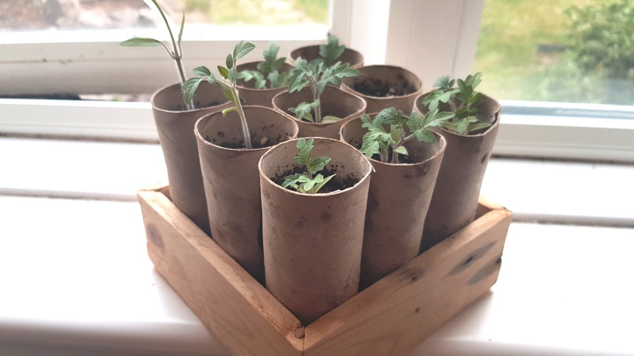Making a seedling tray from pallet wood - YouTube