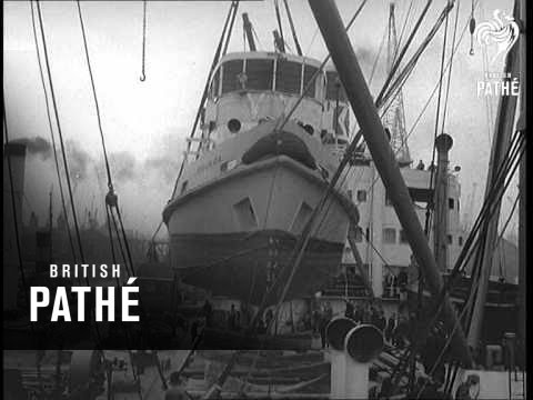 News Flashes Biggest Sturgeon, Domestic Squirrel, Ship Onboard Ship ...