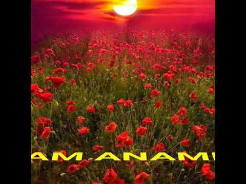 ANAM ANAMM