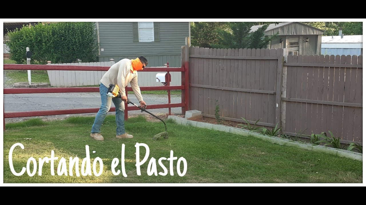 Cortando el Pasto/ Quedó muy Bonito 🤗 - YouTube