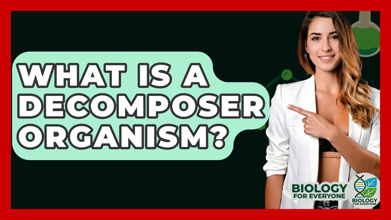What Is A Decomposer Organism? - Biology For Everyone - YouTube