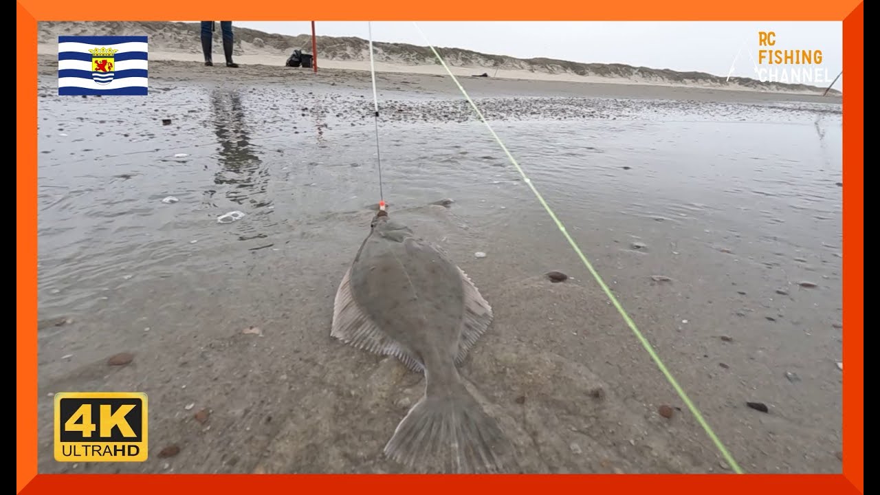 BOT VISSEN VANAF HET NOORDZEESTRAND. - YouTube