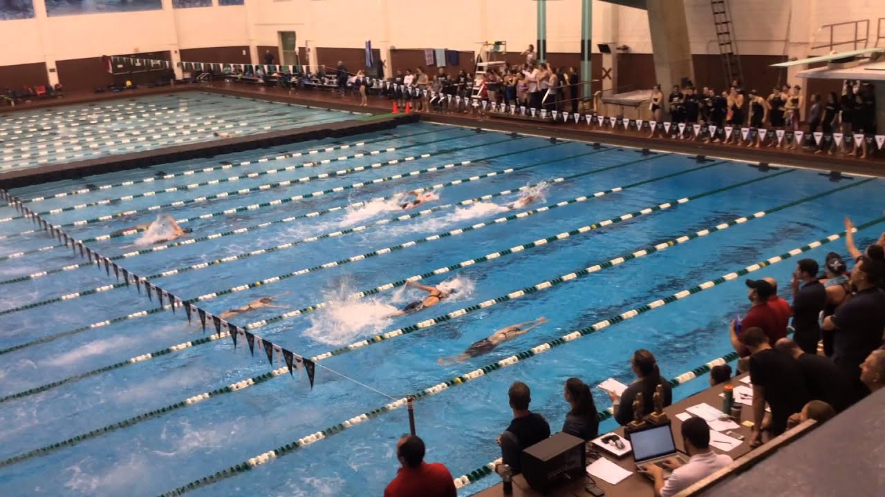 2015 Magnus Cup Finals 400 Free Relay, A, B - YouTube