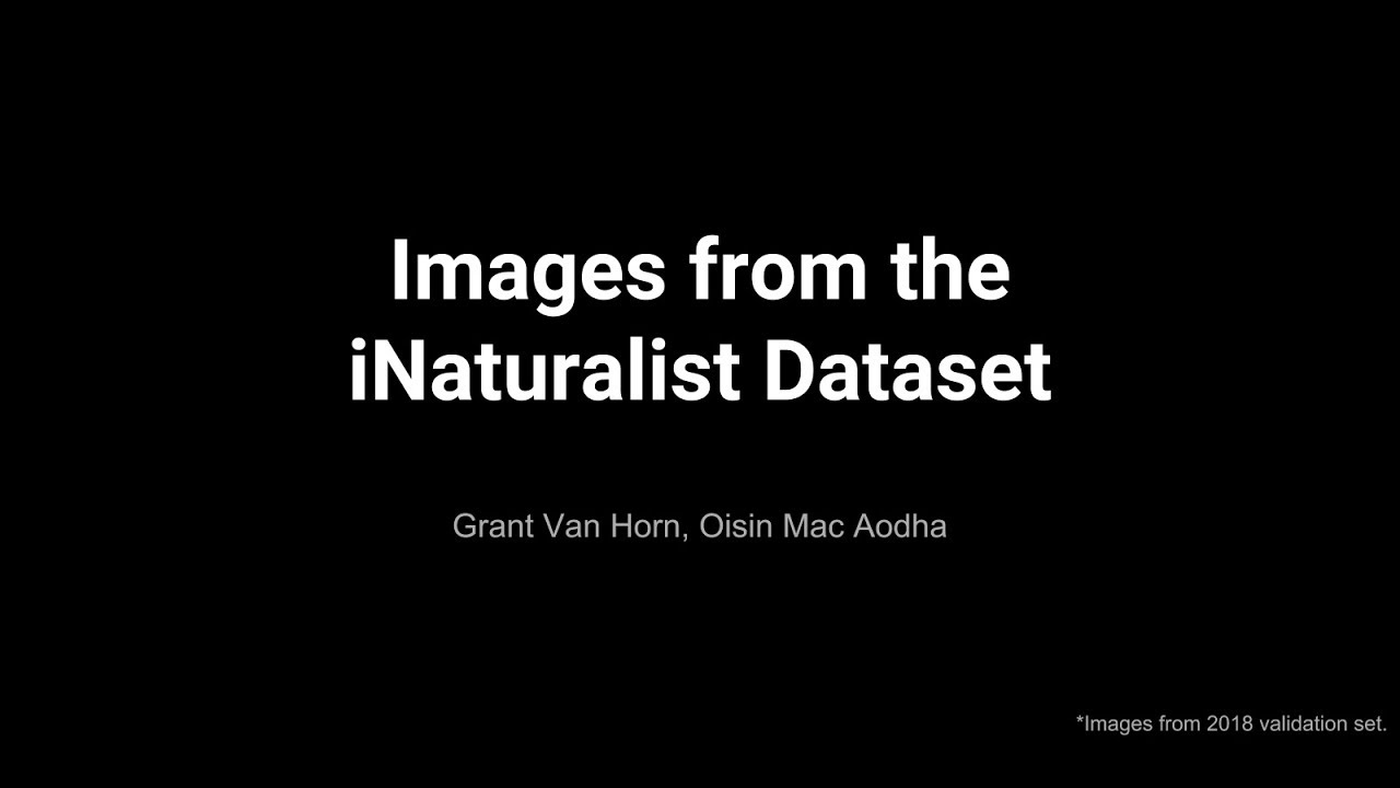 iNaturalist Dataset - CVPR 2018 - YouTube