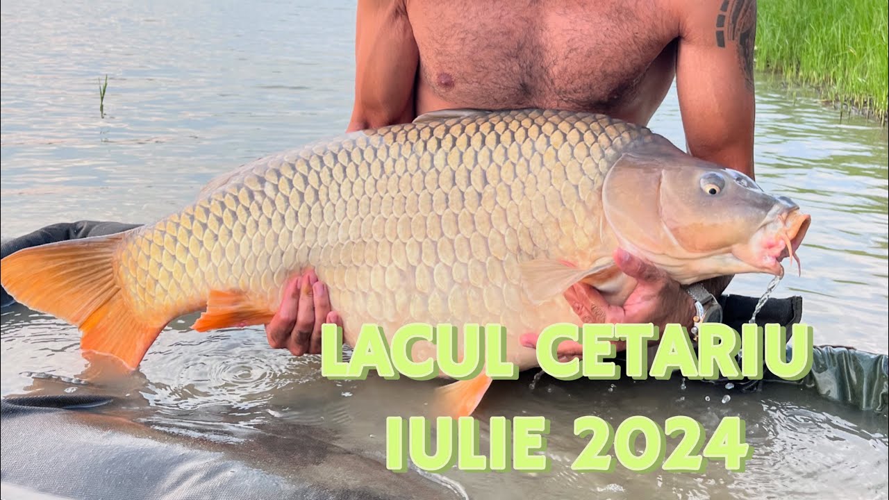 LACUL CETARIU 96H PESCUIT LA CRAP - YouTube