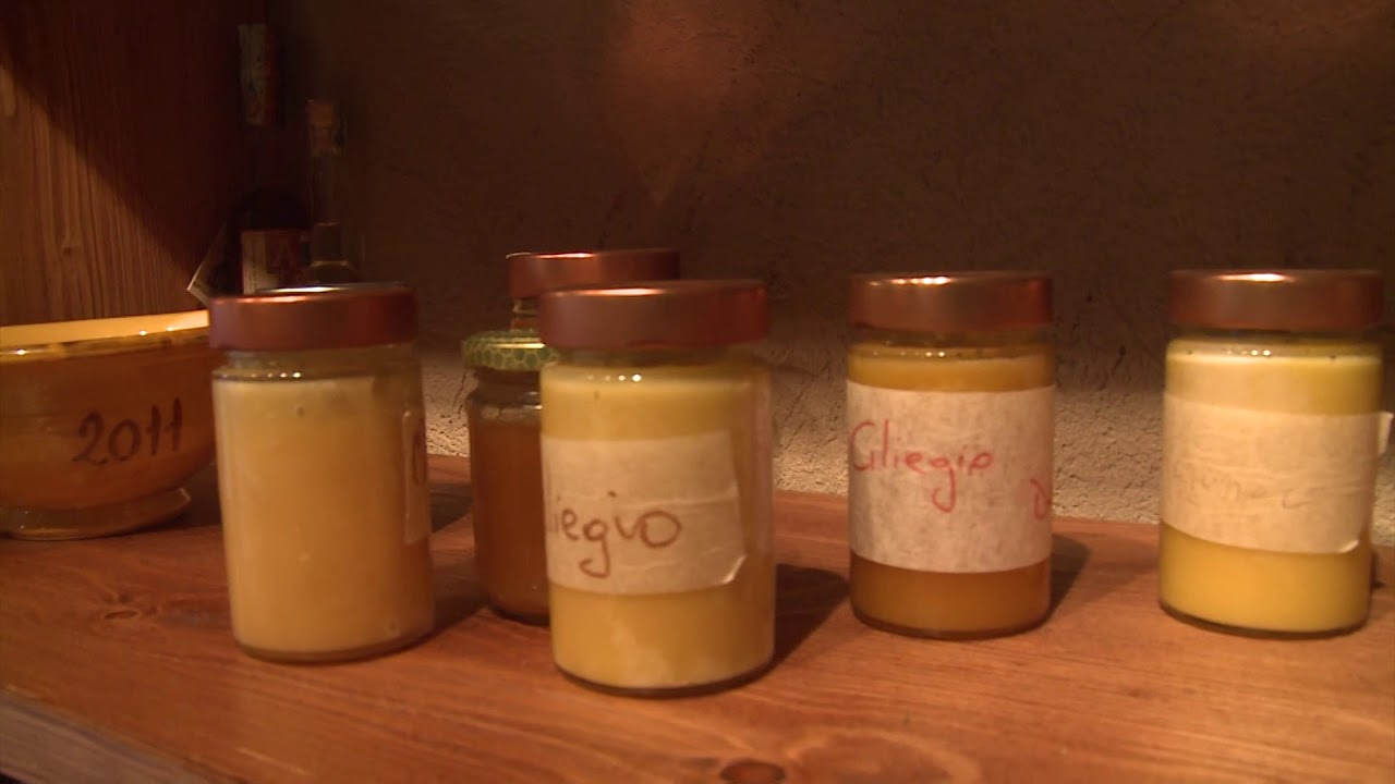 Primi passi con le Api - PUNTATA 1 - DOCUMENTARIO RAI - YouTube