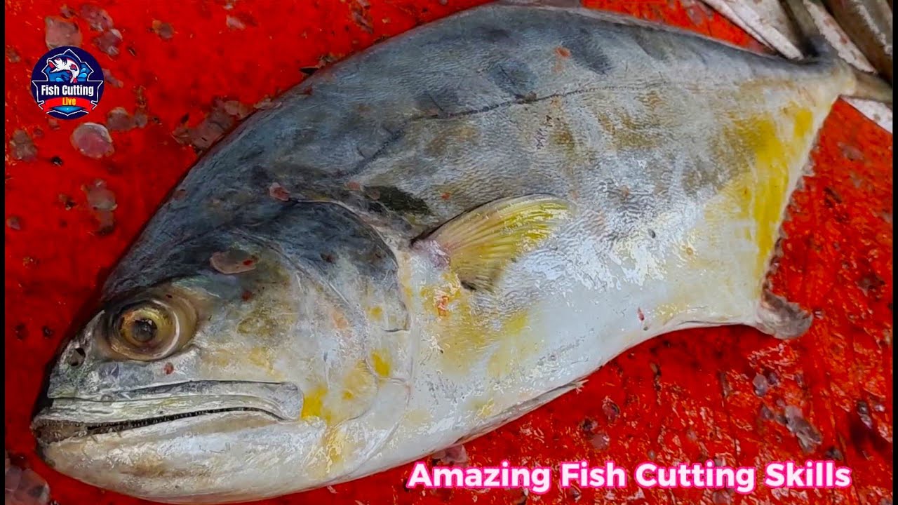 Amazing Big Queenfish Fast Cutting By Expert Cutter In Fish Market l ...