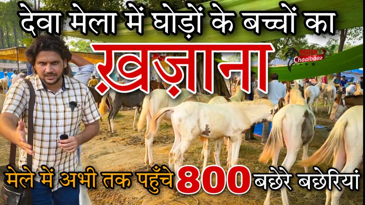 देवा मेला में घोड़ों के बच्चों का ख़ज़ाना Deva Mela 2022 (Barabanki UP) - YouTube