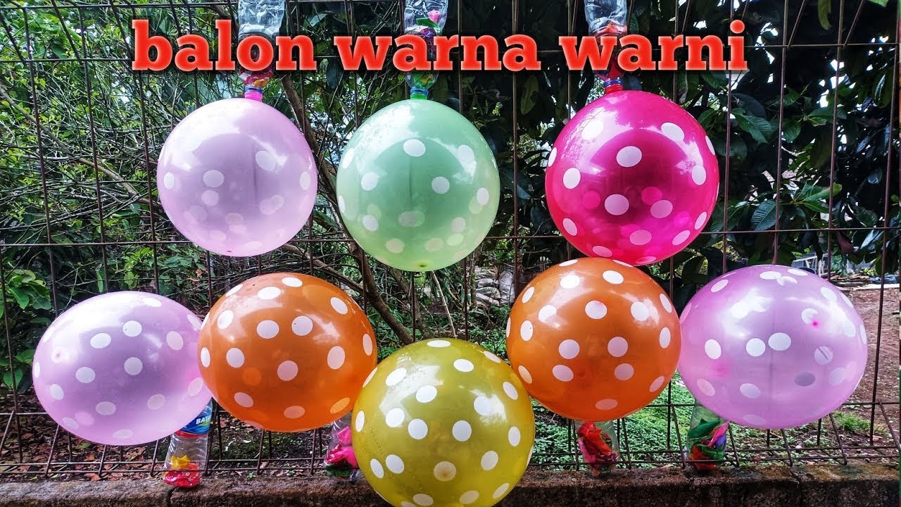 Menemukan Balon Warna Warni,Balon Berhadiah,Balon Meletus,Balon Lucu ...