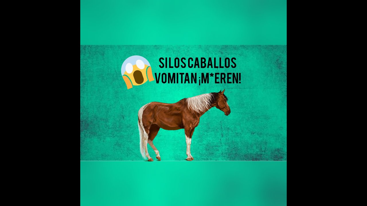 Sabías que si un caballo vomita ¡mu*re! 😱 - YouTube