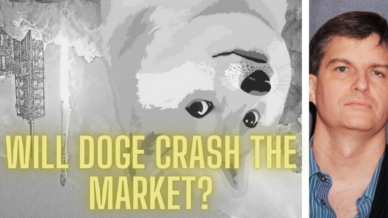 🤔Why Michael Burry means "The Mother of All Crashes" starts with Doge ...