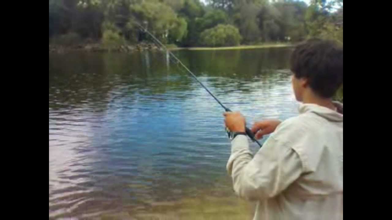 currimundi lake queenfish on a surface lure- LUREPRODUCTIONS - YouTube