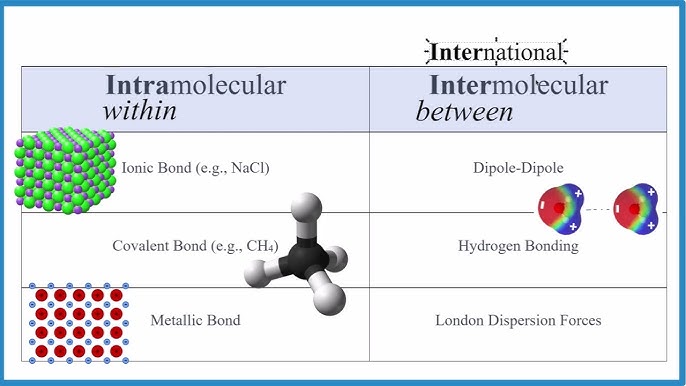 Intermolecular Interactions Intermolecular Interactions In Functional
