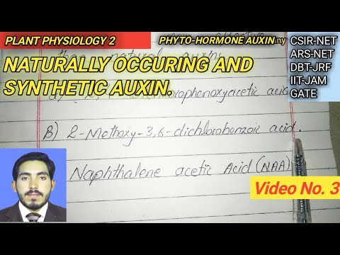 CHEMICAL NATURE OF AUXIN // NATURAL AND SYNTHETIC AUXIN // BSC // BS ...