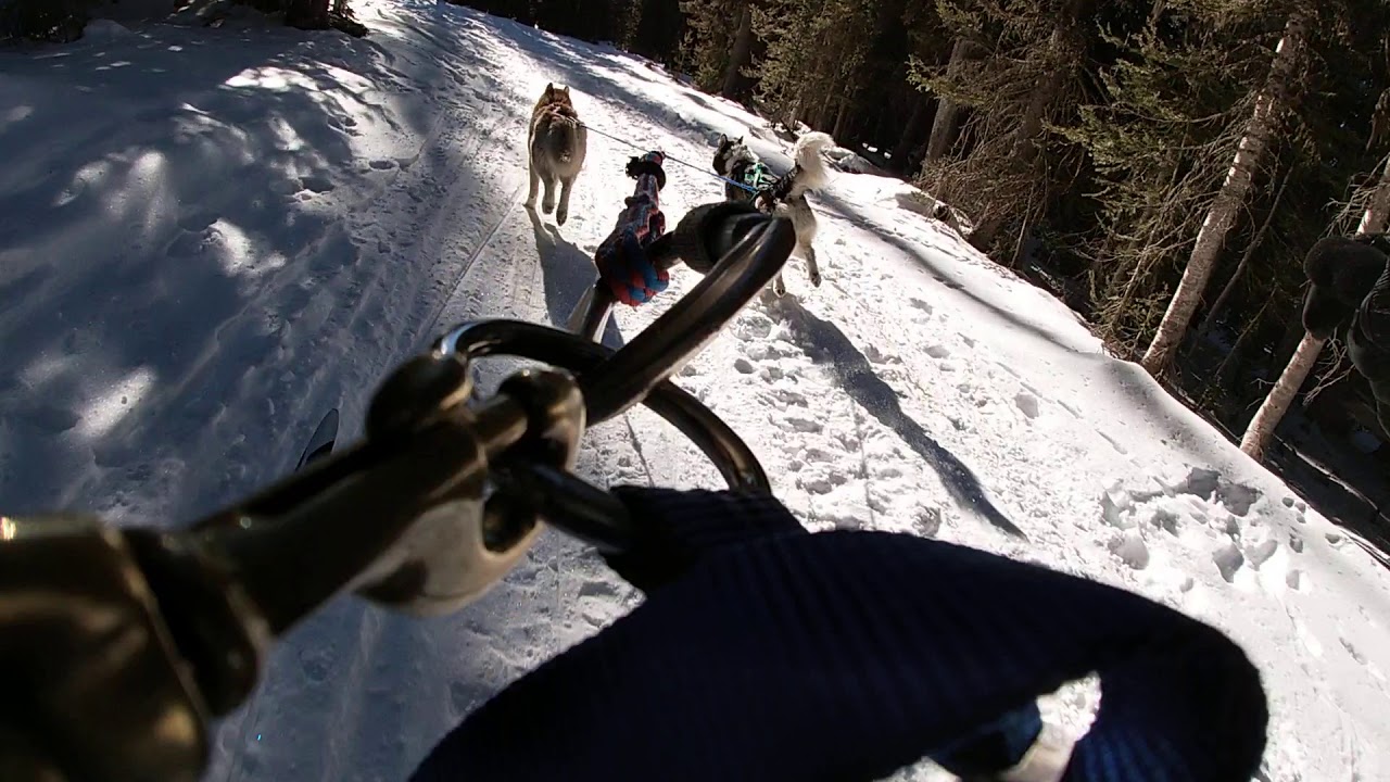 Bumpy Ride - YouTube