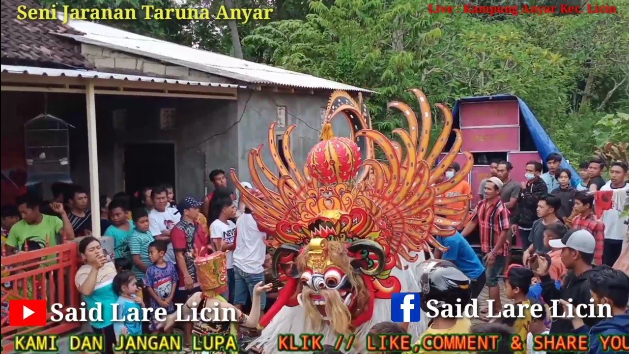 Barong Pecari Kuning Terbaru | Acara Pencakan Live Kampung Anyar ...