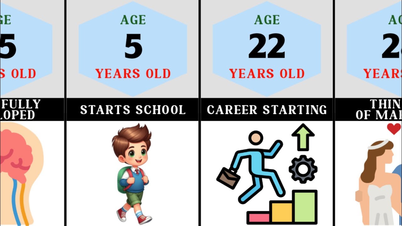 Average Male Life Timeline From Birth To Death - YouTube
