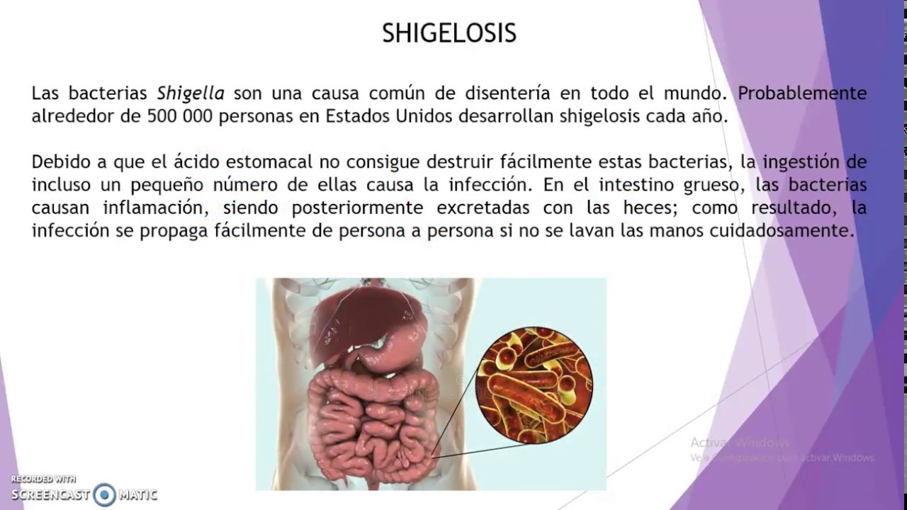 #4 ¿Por qué nos enfermamos de Shigelosis? - YouTube