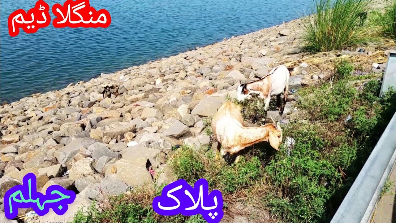Mangala Dam-- Plock-- jehlum . منگلا ڈیم --- پلاک --- جیلم --وزٹ - YouTube