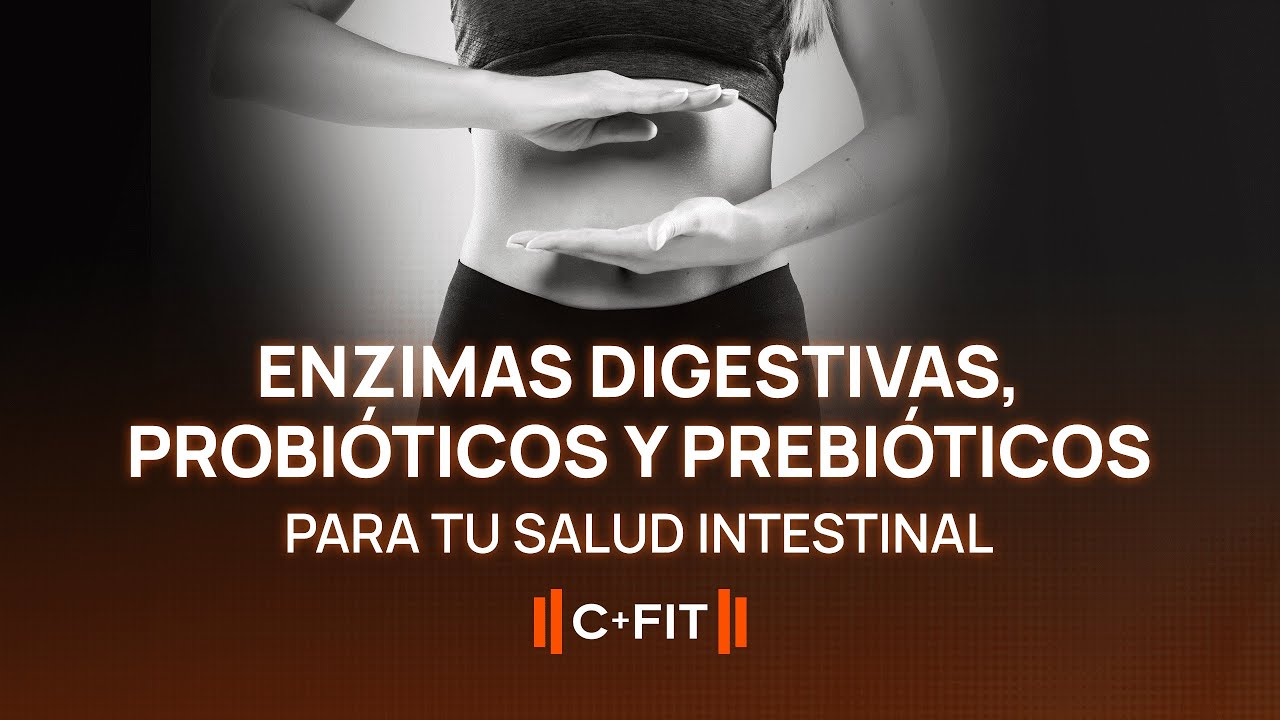 ¡Enzimas digestivas, probióticos y prebióticos para tu salud intestinal ...
