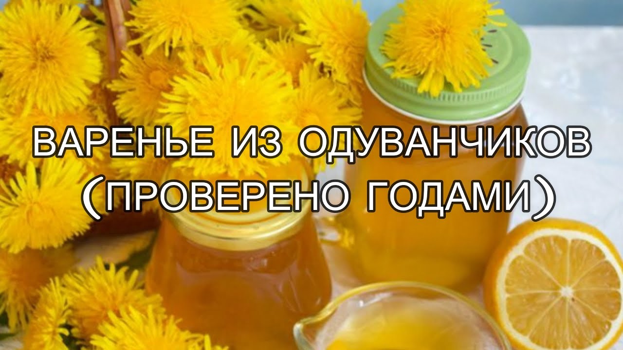 Варенье из одуванчиков. Рецепт, проверенный годами! - YouTube