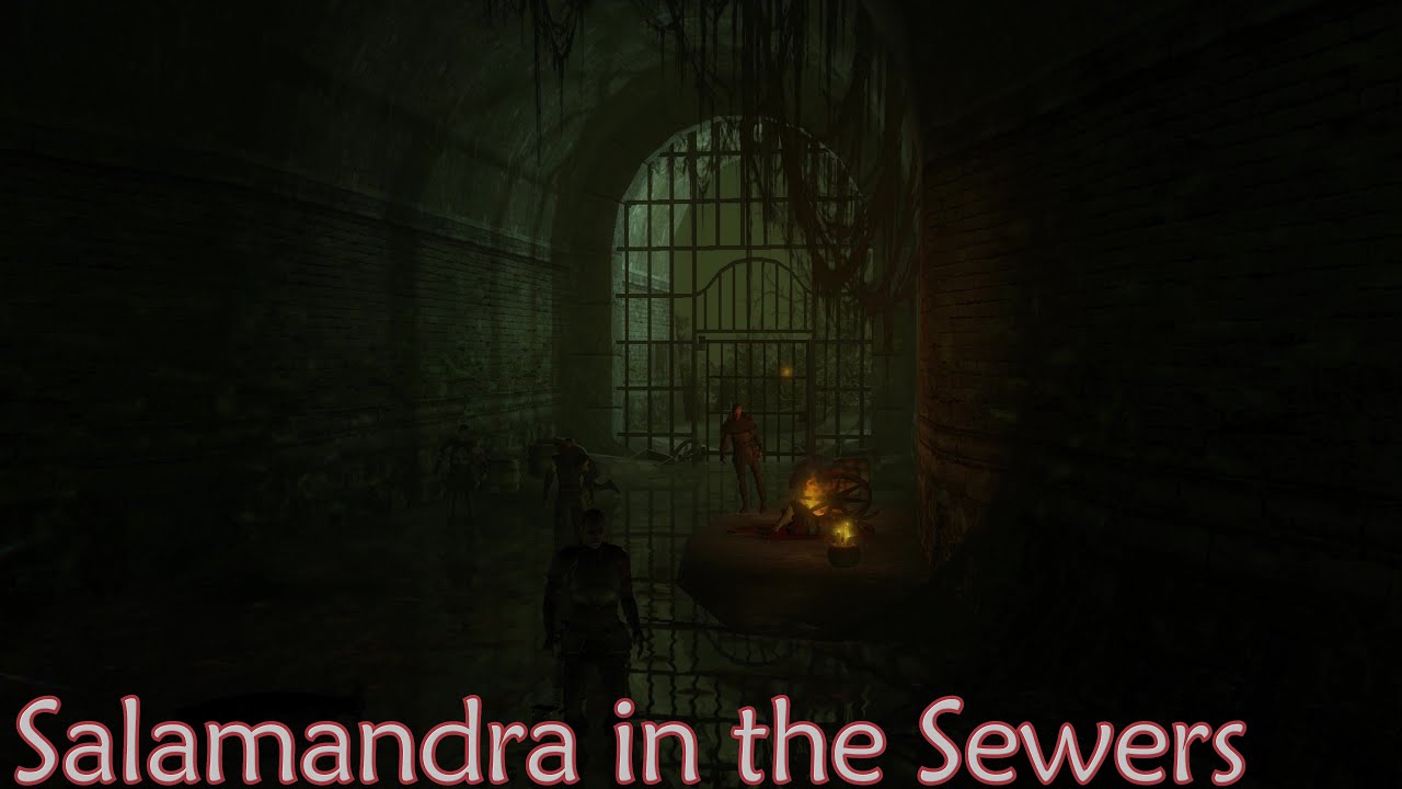 The Witcher - Chapter III: Salamandra in the Sewers - YouTube