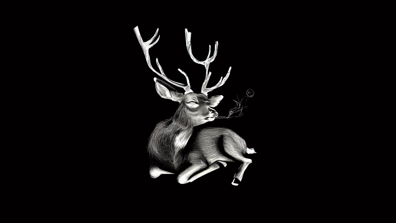 [무료비트 | FREE] 듣는 순간 그루브한 트랩 비트 "Chill Deer" - YouTube