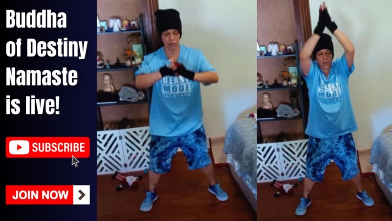 Buddha Live Now November - YouTube