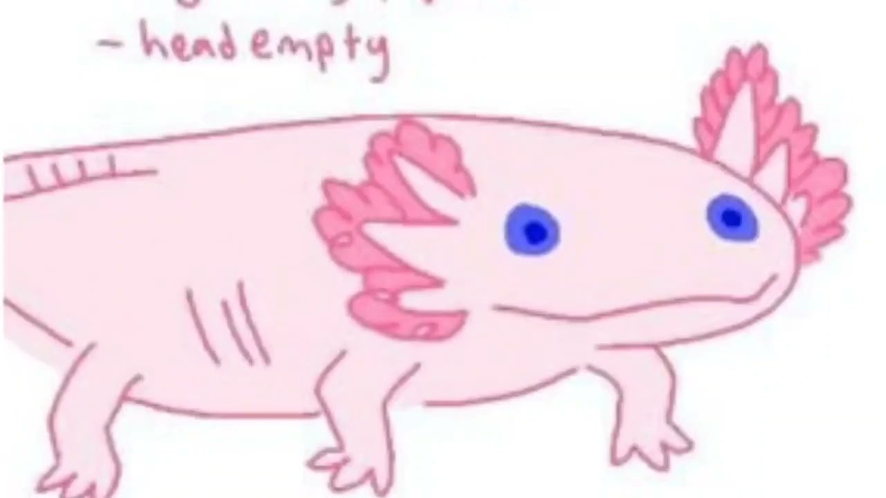 axolotl's cave dwelling gremlin cousin - YouTube