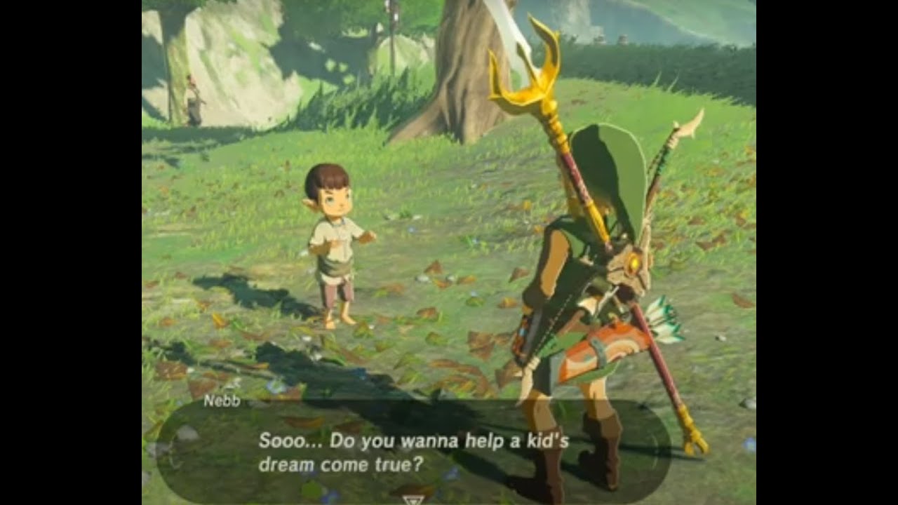 The WEEP POM Connoisseur side quest, Zelda Breath of the wild game play ...