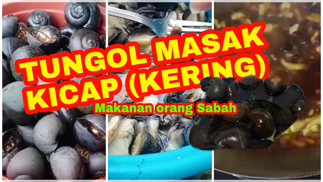 Mengidam makan Tungol? -MASAKAN ORANG SABAH - YouTube