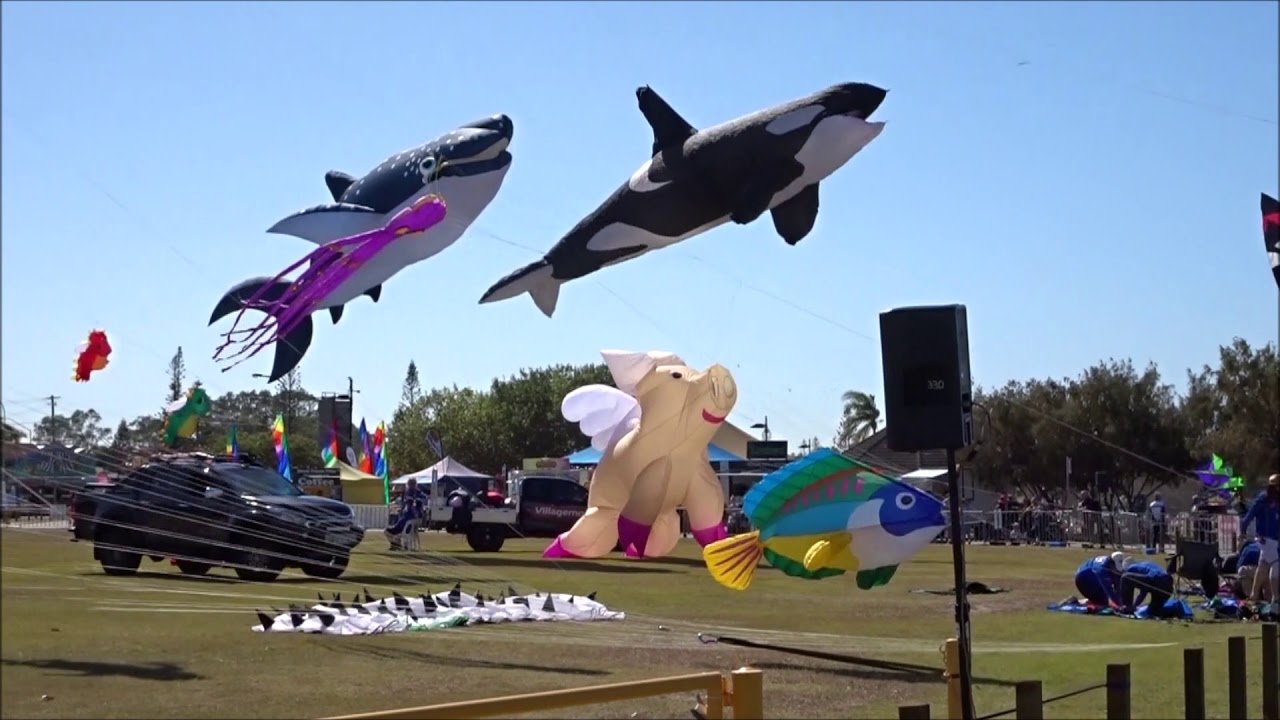 OzFeathers at Redcliffe KiteFest 2017 - YouTube