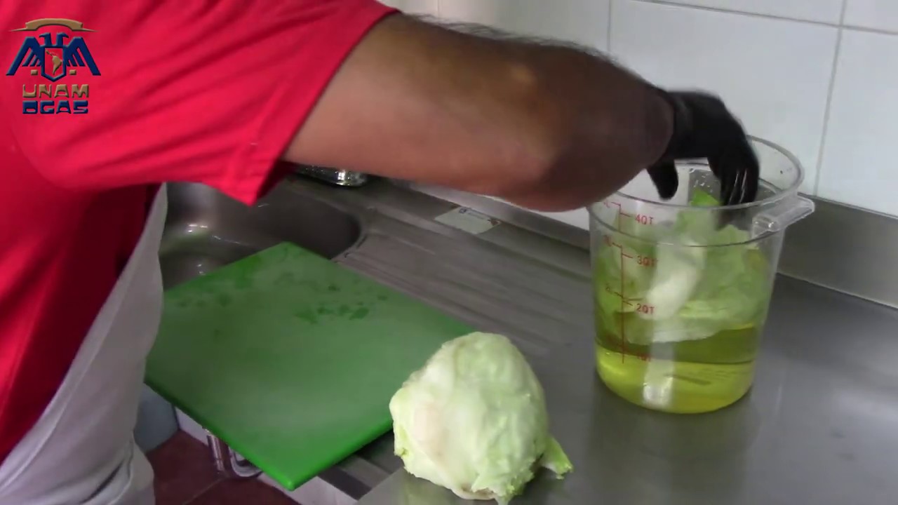 Lavado y desinfección de lechuga DGAS UNAM - YouTube
