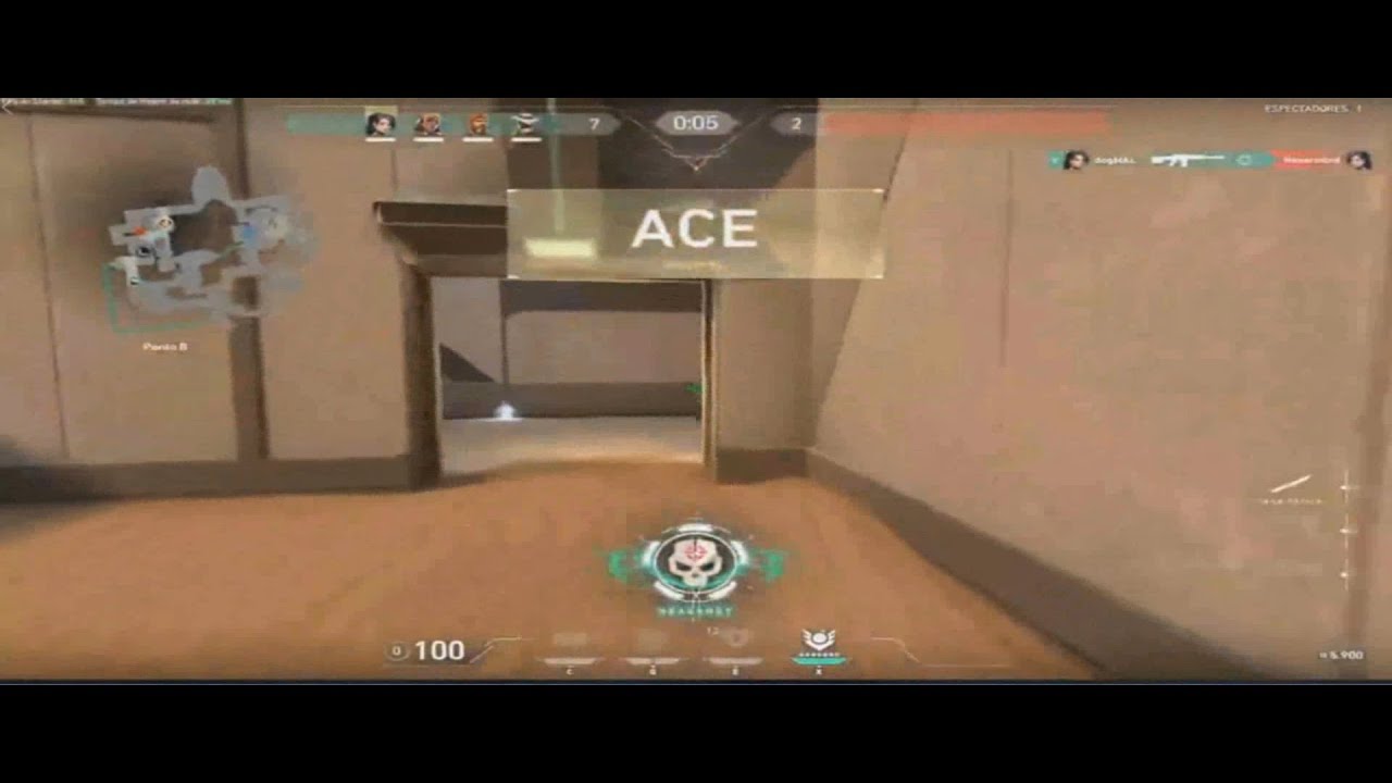 Valorant Dog Digest - YouTube