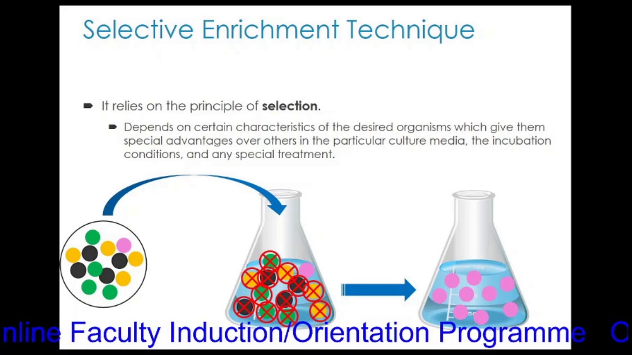 Selective Enrichment Techniques - YouTube