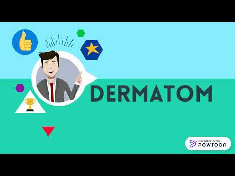MIOTOM DAN DERMATOM - YouTube